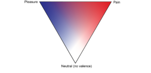 Principia Qualia: the executive summary – Opentheory.net